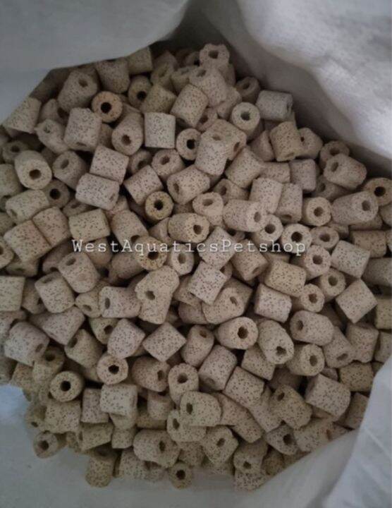 Porous Ring Filter Media 1kg | Lazada PH