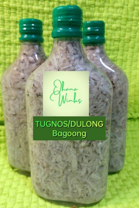 Tugnos Dulong Ginamos Bagoong | Lazada PH