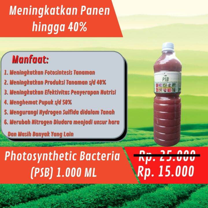 Pupuk Organik Cair (POC) Daun Photosynthetic Bacteria (PSB)Bakteri ...
