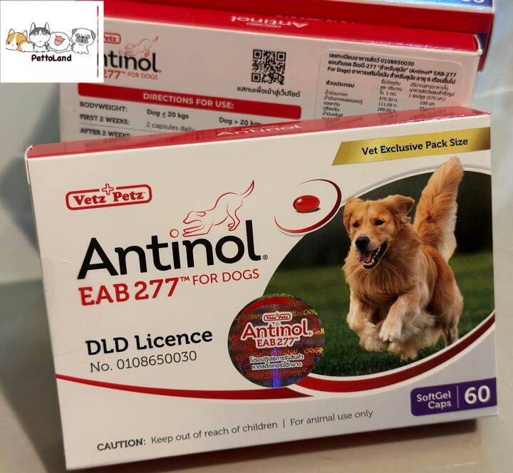 แอนทินอล antinol 60 เม็ด สำหรับสุนัข แพคเกจใหม่ล่าสุด!!! หมดอายุ 02/ ...