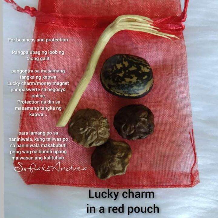 PAMPASWERTE in a pouch | Lazada PH