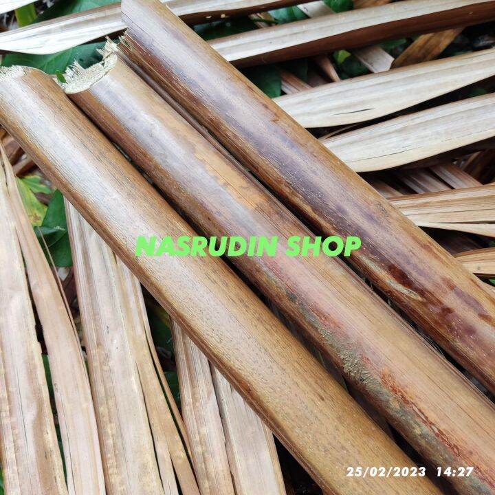 PELEPAH DAHAN RUMBIA 1KG ATAU TANGKAI POHON SAGU KERING UNTUK SENI DAN ...
