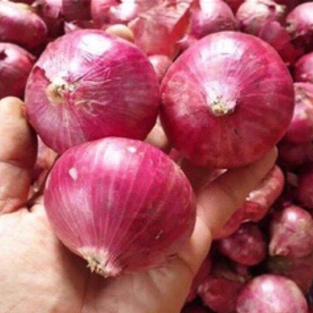 Bawang merah india murah 1 kg | Lazada Indonesia