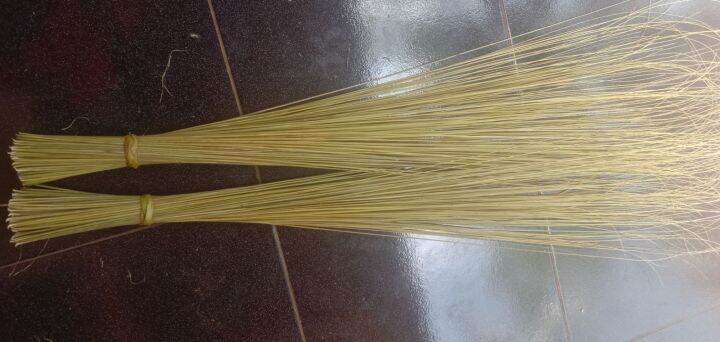 sapu lidi daun kelapa | Lazada Indonesia