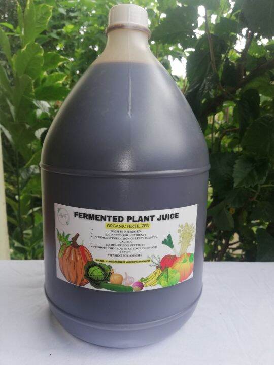 Organic fermented plant juice 1 Gallon (Organic Natural Fertilizer ...