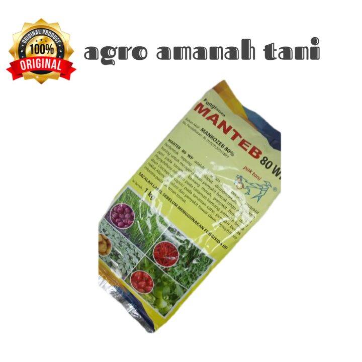 MANTEB 80WP 1 KG Fungisida Kontak Mankozeb 80 WP fungisida untuk ...