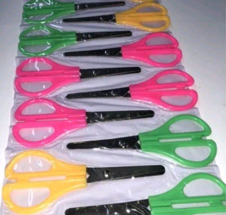 Scissors Size 6 | Lazada PH