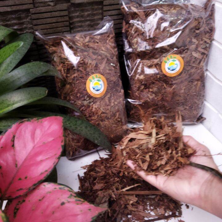 Humus Bambu Murni 1KG. Media Tanam Bambu Humus Murni kemasan1KG.Humus ...