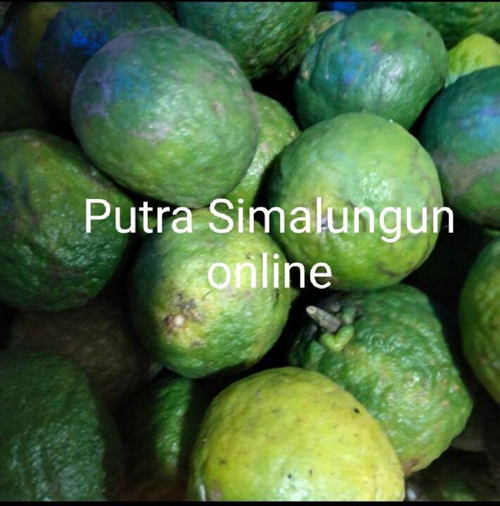 Asam Jungga/Jeruk jungga/utte jungga 1buah/biji | Lazada Indonesia