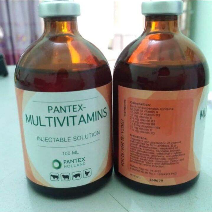 Multivitamins Pantex Injeksi Perawatan Obat Hewan Sapi Kuda Kambing ...