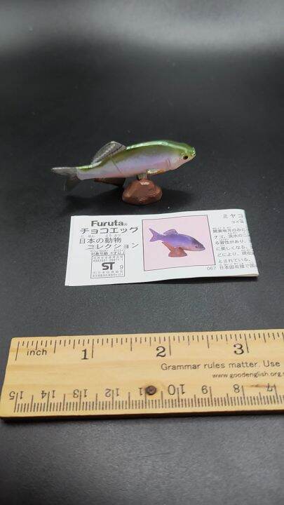 ปลาโตเกียวบิตเทอร์ลิง ฟิกเกอร์ โมเดลสัตว์ ปลาจิ๋ว Kaiyodo Furuta Animatales Choco Q Tokyo ...
