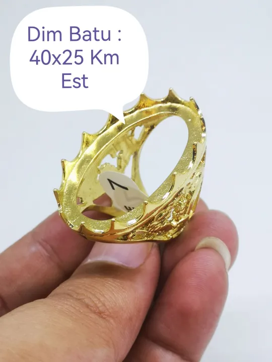 Ring Emban TITANIUM Gold Model Tanam Cakar | Lazada Indonesia