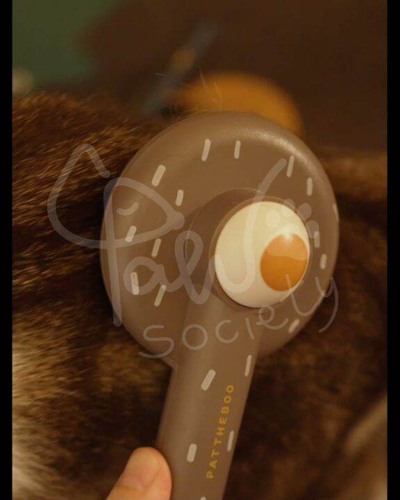 [🔥 มาใหม่] PawSociety ที่แปรงขนสัตว์เลี้ยง PATTHEBOO Monster Comb แปรง ...