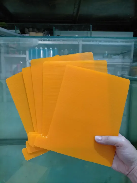 Corrugated (orange) betta plastic divider 4x6x8 | Lazada PH