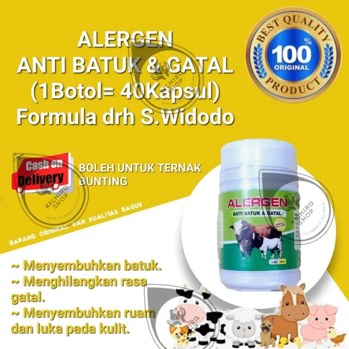 ALERGEN Isi40Kapsul Obat Gatal Alergi Batuk Sapi Kerbau Kambing Domba ...