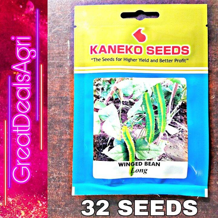 WINGED BEAN SEEDS LONG SIZE FRUIT LENGTH (20 SEEDS) KANEKO SEEDS ...