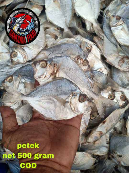 ikan asin petek 500 gram | Lazada Indonesia