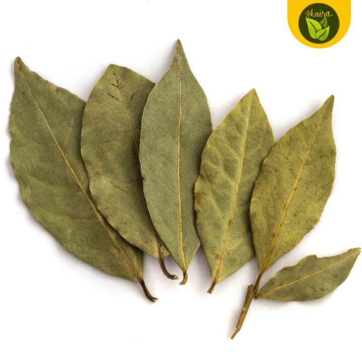 laurel dried spices and herbs 3 cut leaves | Lazada PH