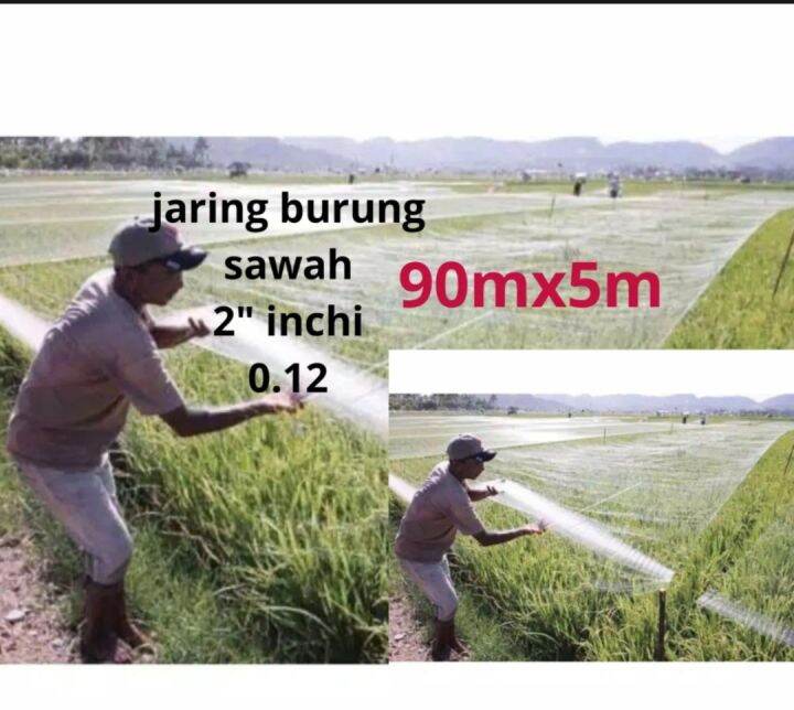 Jaring Burung sawah Jaring Burung pipit Jebakan Burung Perangkap Burung ...