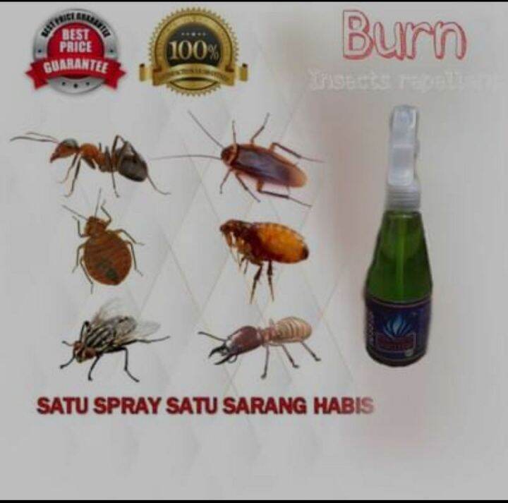 Burn insects repellent | Lazada