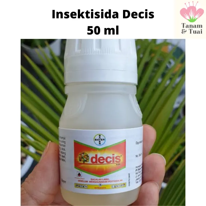 (Decis 50 ml) Insektisida Decis Pembasmi Hama | Lazada Indonesia