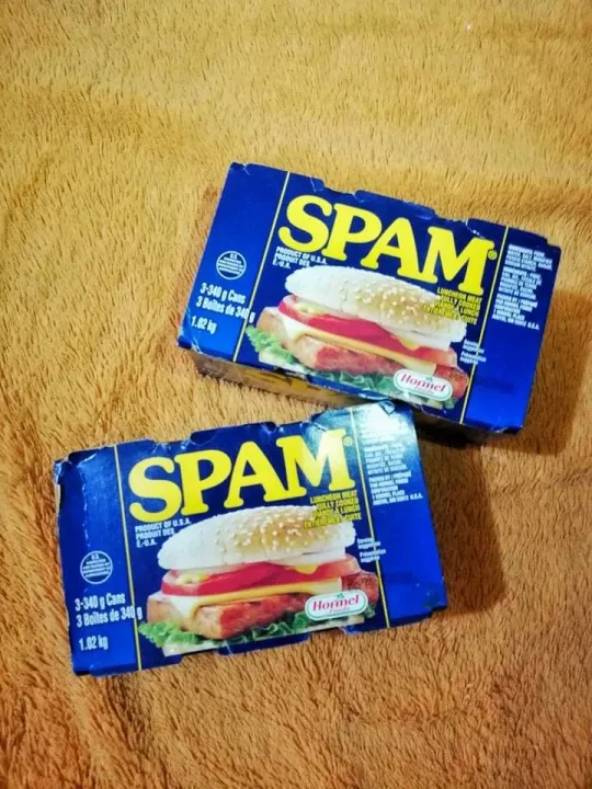 Original Spam 340 grams Luncheon Meat | Lazada PH
