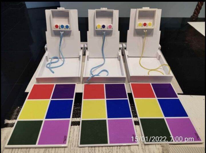 Cute Medium Size Color Game (Perya Board Game) | Lazada PH