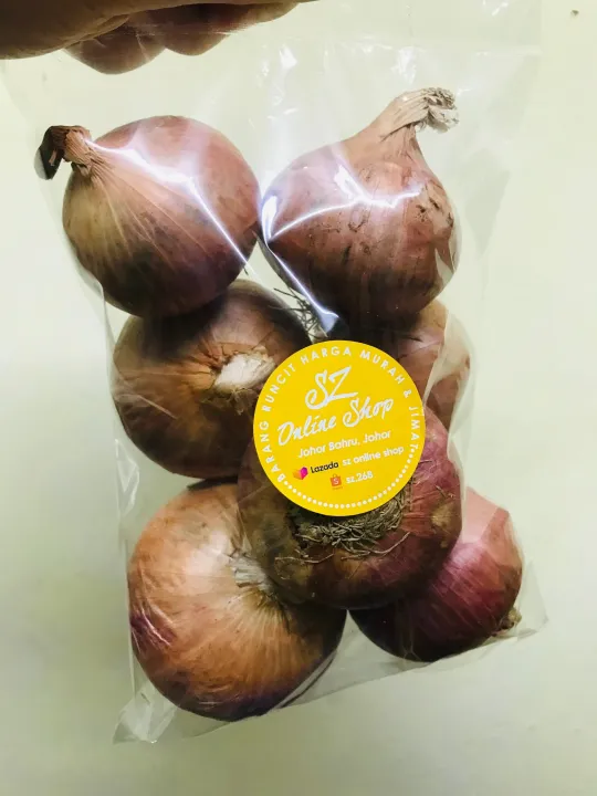 Fresh Bawang Besar India / Big Red Onion / Bawang Merah / Bawang India ...