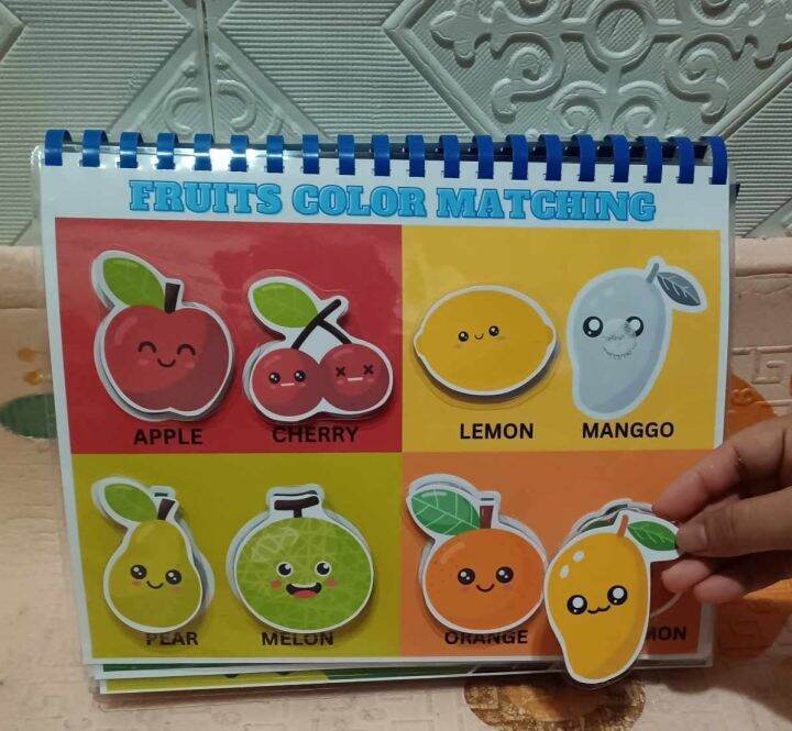Fruit Color Matching Busy Book Activity Sheet Learning Material ...