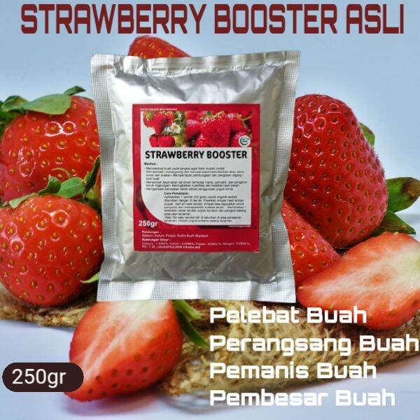 Pupuk Strawberry Organik Agar Cepat Berbuah Lebat Ampuh Pupuk Booster Pelebat Buah Obat ...
