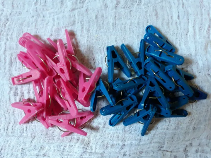Sipit Sa Damit - Clothes Pin 100pcs ( Pink & Blue ) | Lazada PH