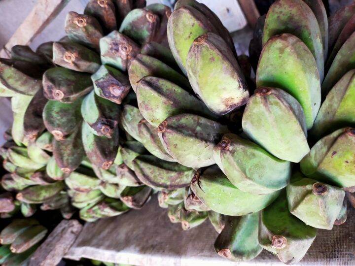 saging na Saba | Lazada PH