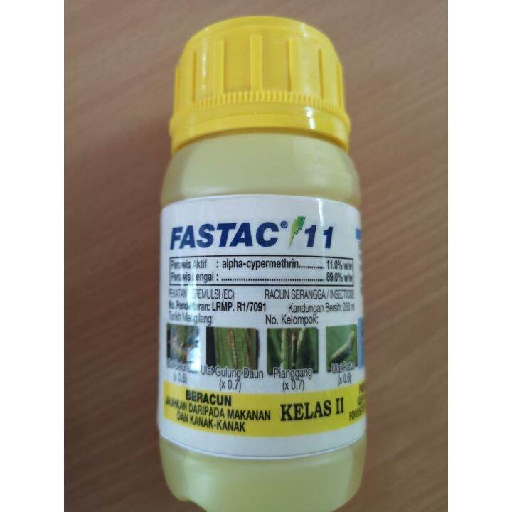 FASTAC racun serangga 250ml | Lazada
