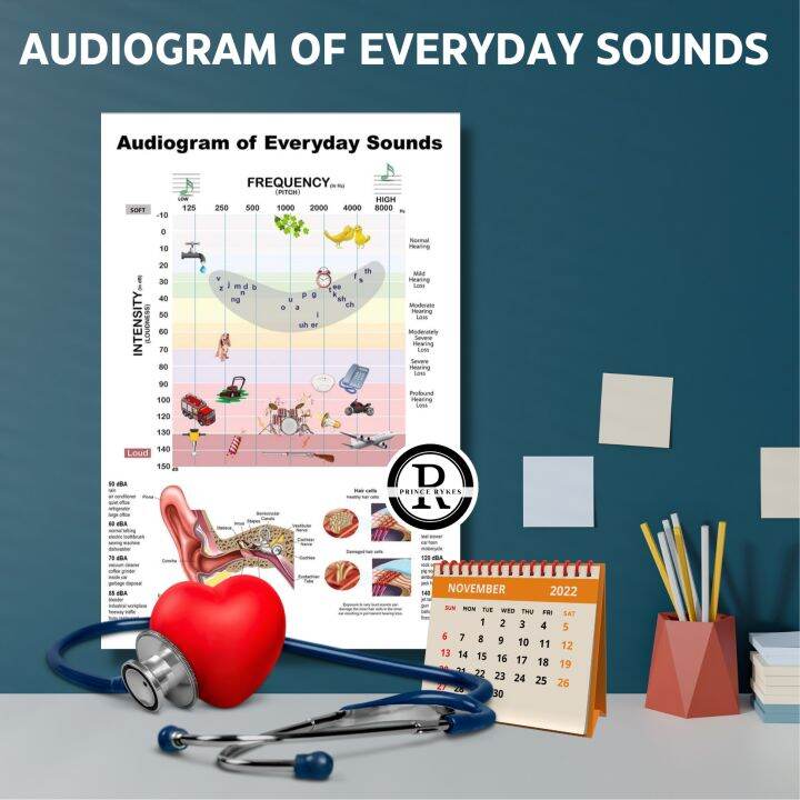 AUDIOGRAM OF EVERYDAY SOUNDS EDUCATIONAL LAMINATED CHARTS POSTERS ...