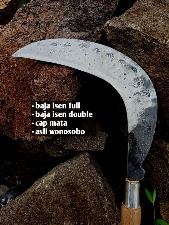 Arit ngarit rumput asli baja isen full super tajam | Lazada Indonesia