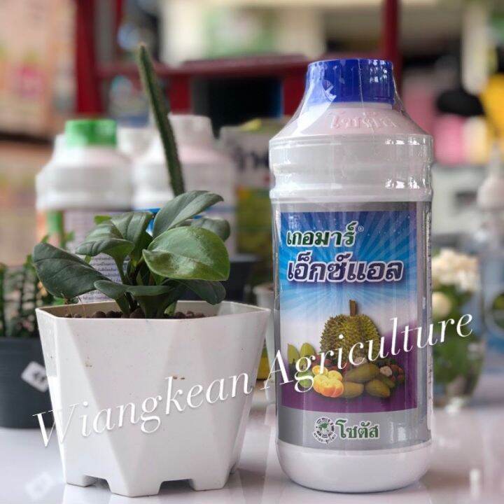 เกอมาร์ เอ็กซ์แอล (Goemar XL) | (1ขวด/1ลิตร) | Lazada.co.th