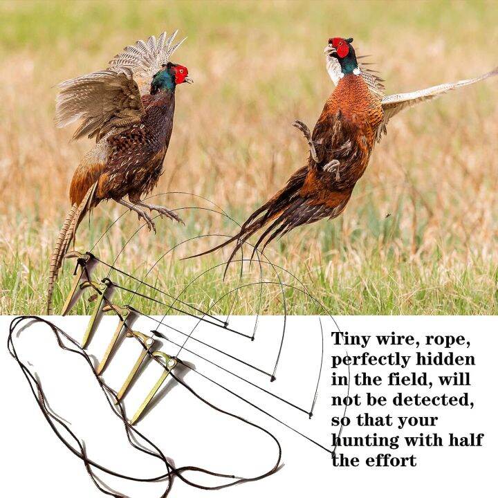 Professional Bird Trap for Chicken, Pheasant,Wild Duck, Birds Tying ...