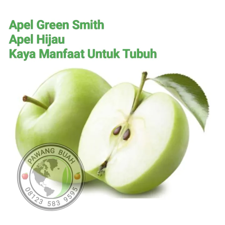 apel hijau 1kg appel green smith 1000 gr | Lazada Indonesia