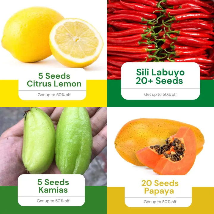 all in 4 in pack seeds (lemon sili labuyo red onion kamias) | Lazada PH