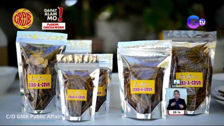 CORMAN CHICHAWORM CHICHA WORM SUPERWORM | Lazada PH