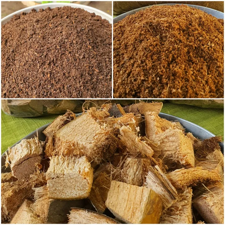 Coco Cubes 3kgs + High Quality Coco Peat 3kgs + Pure Vermicast 3kgs - Php275 | Lazada PH