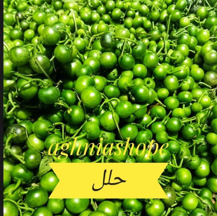 lenca .lenca hijau.lenca sayur . | Lazada Indonesia