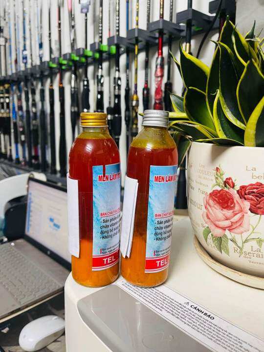 Nước men làm mồi bột câu cá tráp biển,tráp vàng, tráp đen, tráp xuôi ...