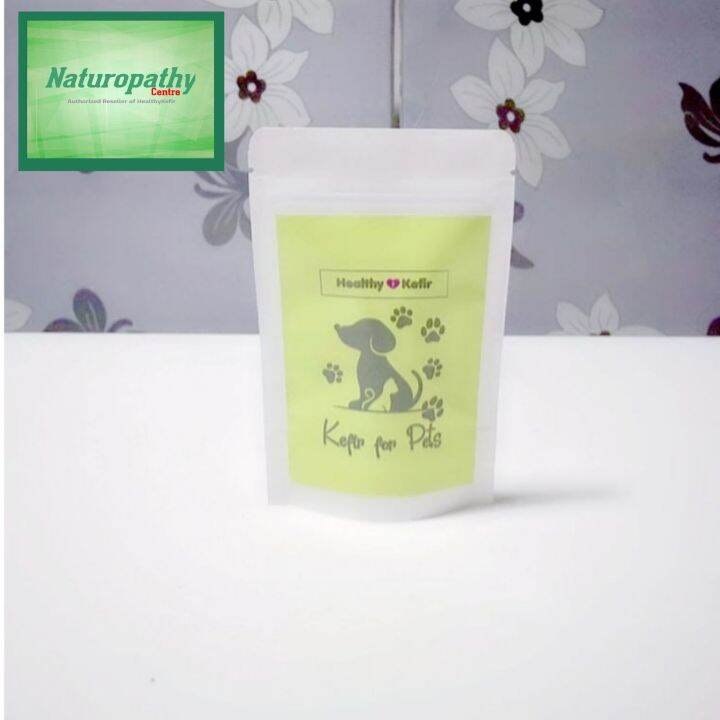 Kefir For Pets Dogs and Cats. Natural Immune Booster for your Pet ...