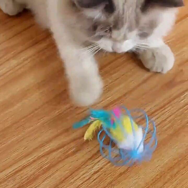 Mainan Kucing Warna-warni/ Mainan Kucing Kandang Besi Tikus Bola ...