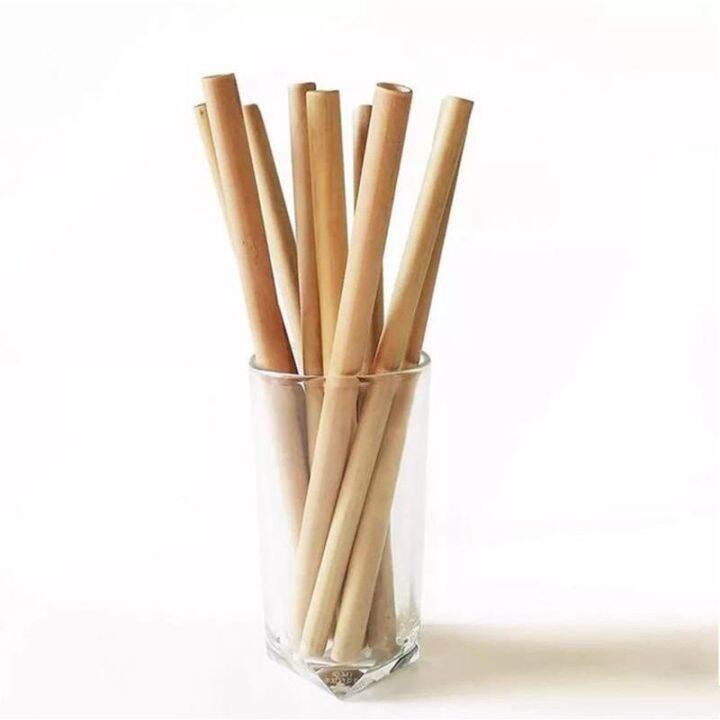 Sedotan Bambu Ramah Lingkungan / Bamboo Straw | Lazada Indonesia