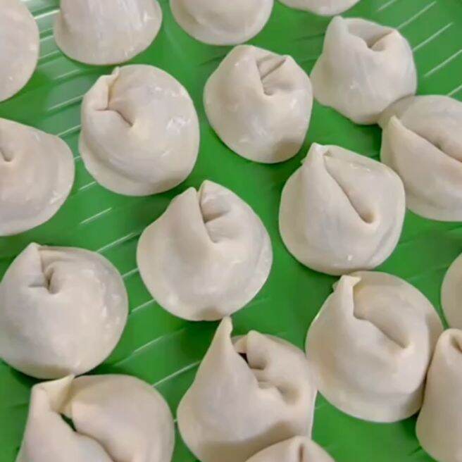 FROZEN PACK || Alolo Chicken Gyoza (10pcs) | Lazada