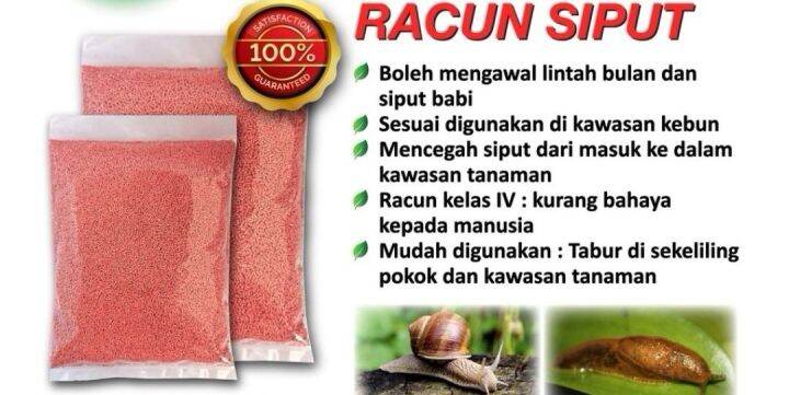 RACUN SIPUT (500G) MENGHAPUSKAN SIPUT SEDIA DIGUNAKAN SNAIL CHEMICAL ...