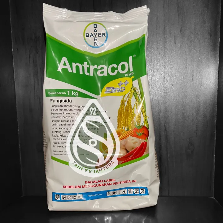 ANTRACOL 1KG | Lazada Indonesia