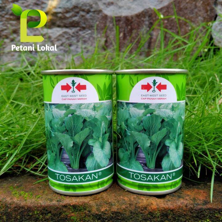 Benih sawi kaleng tosakan isi 100 gram Benih sayur sawi Cap panah Merah ...